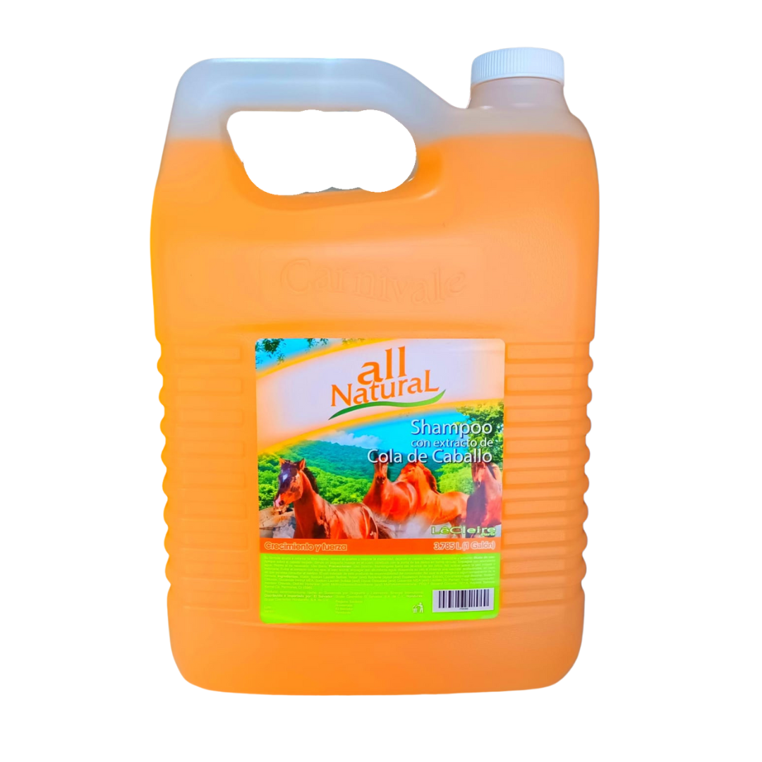 SHAMPOO GALON COLA DE CABALLO Y ARGAN - Mayoristas Ofertón